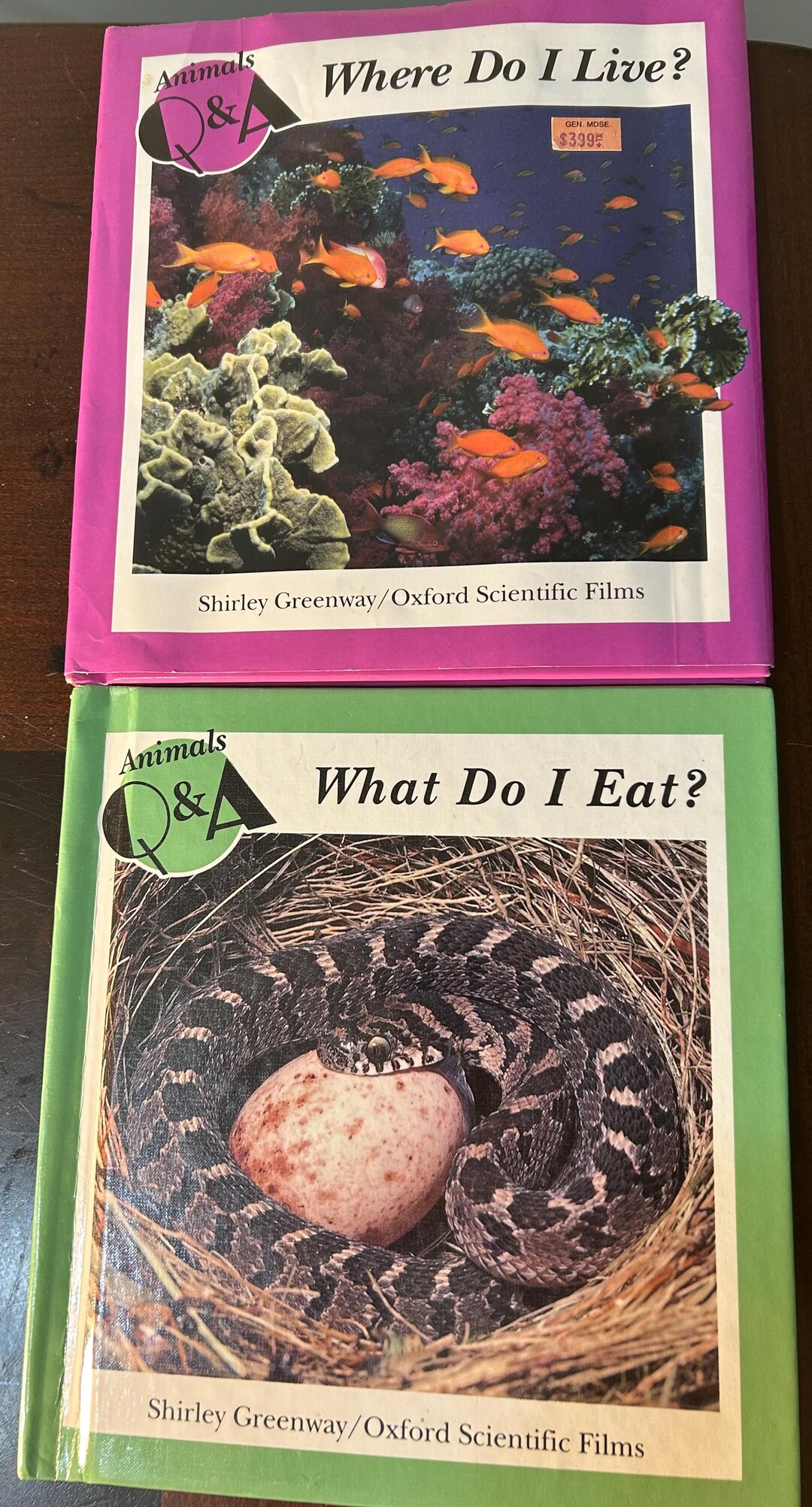 What Do I Eat? & Where Do I Live? Animals Q and A Children Books - Etsy