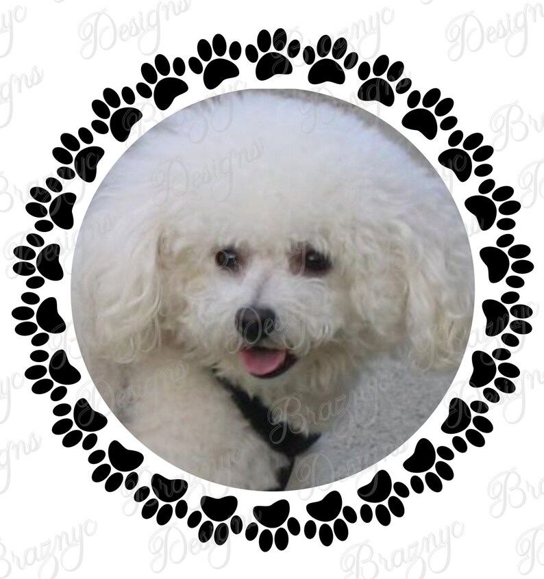 Dog Paw Prints Decorative SVG Borders Round Square Oval | Etsy