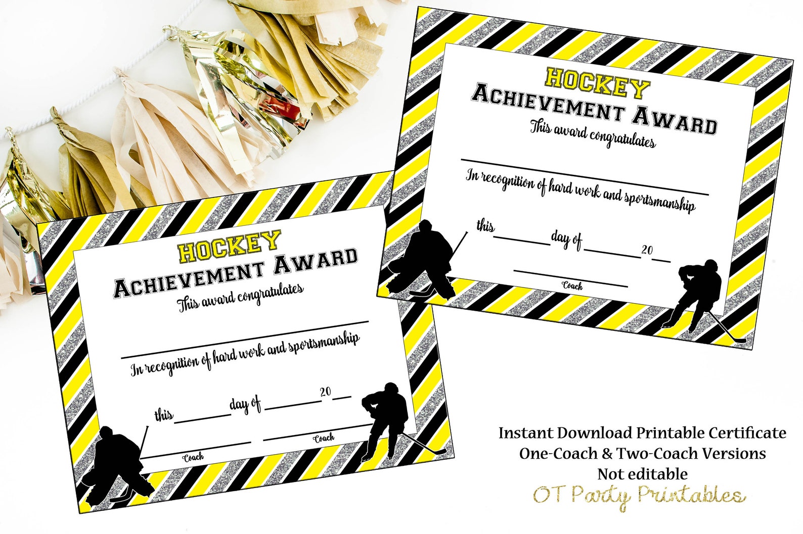 INSTANT DOWNLOAD Hockey Certificate Hockey Award Hockey | Etsy