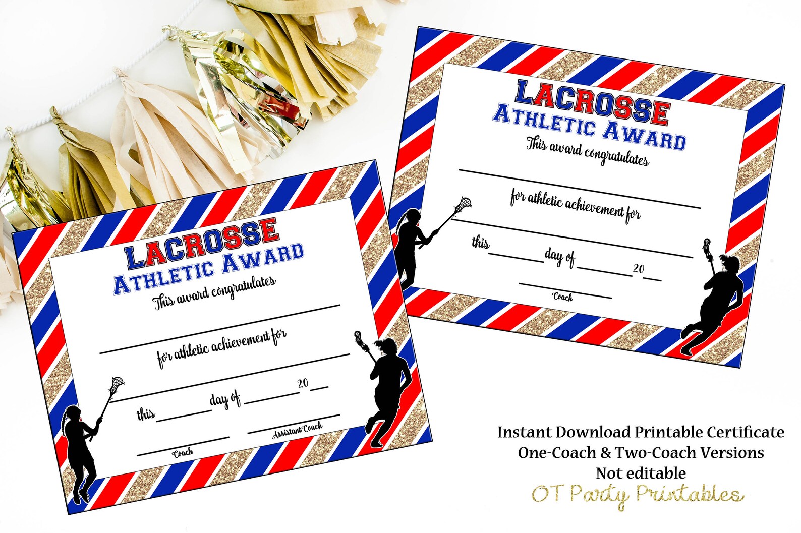 INSTANT DOWNLOAD Lacrosse Certificate LAX Award Lacrosse | Etsy