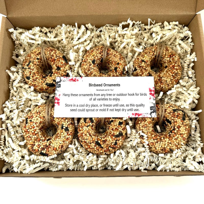 Mini Bird Seed Ornament - Etsy