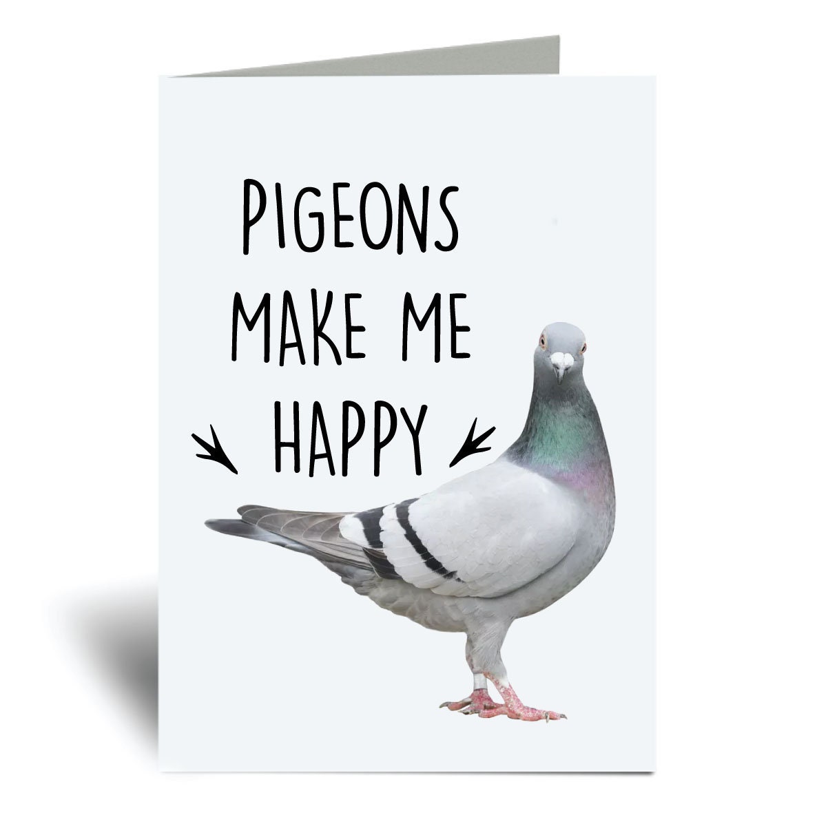 Happy Pigeon