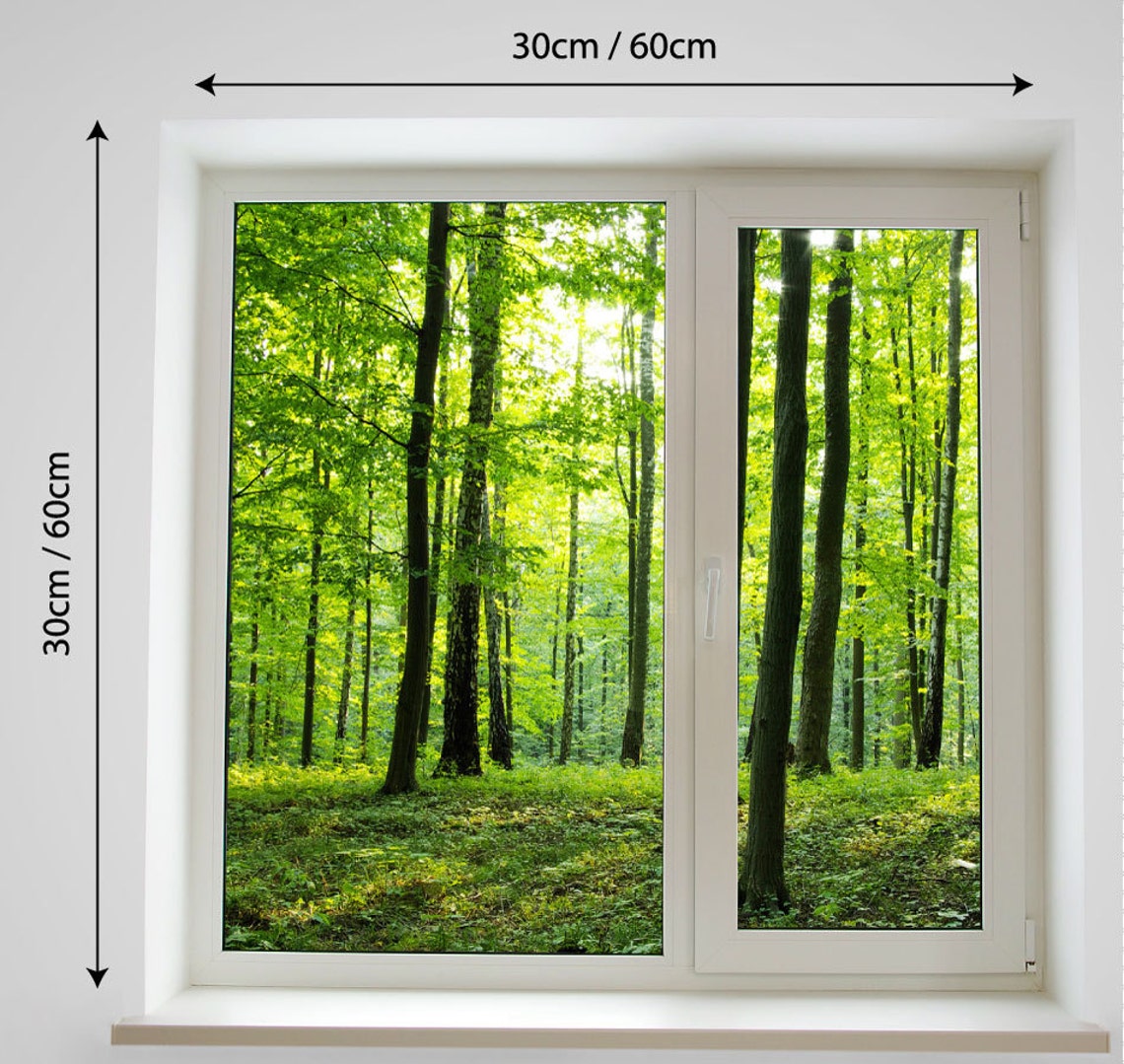 Full Colour Forest Decal Window Scene Woods Trees Woodland - Etsy