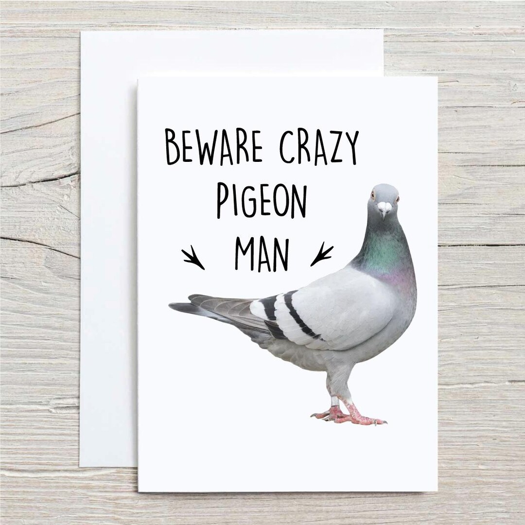 Pigeon Card Beware Crazy Pigeon Man Greeting Card Humorous Design for ...