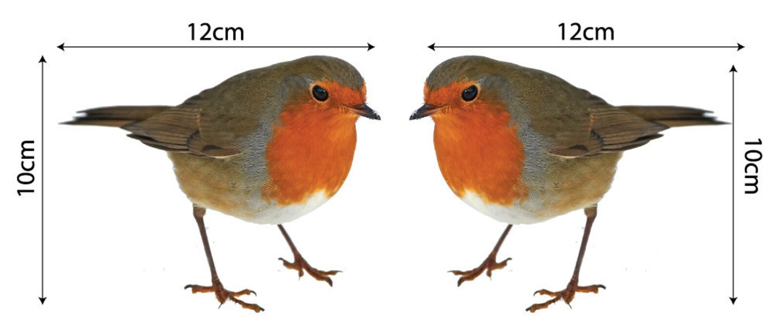 Robin Wall Decals Set of 2 Bird Wall Stickers, Home Decor Mural, Cute ...