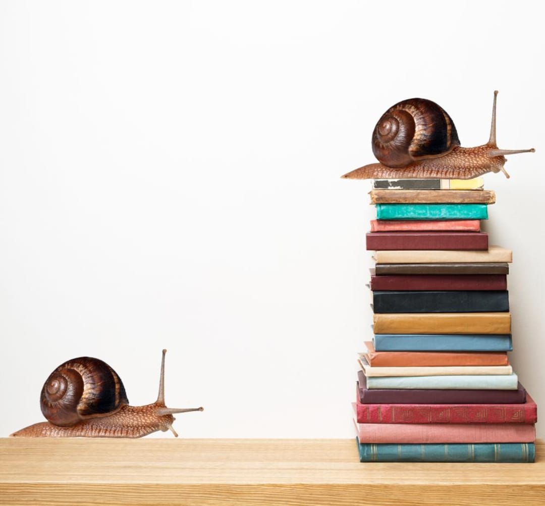 Snails Wall Decals Set of 2 Snail Wall Stickers, Home Decor Mural, Cute ...