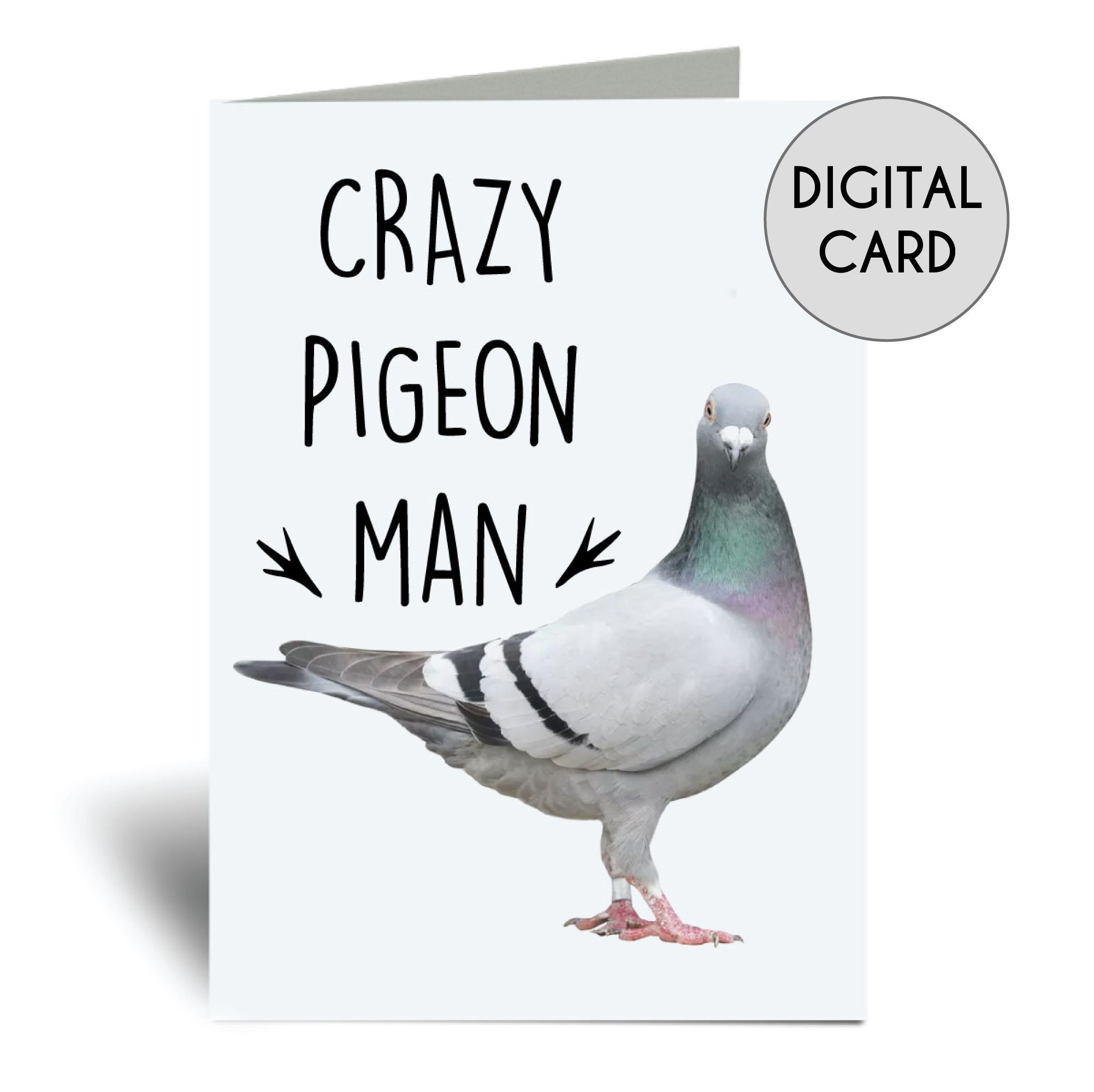 Mad Pigeon