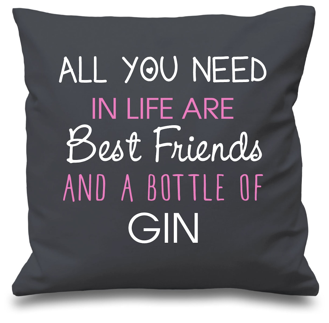Gin Cushion Cover All You Need in Life Are Best Friends and A Bottle of ...