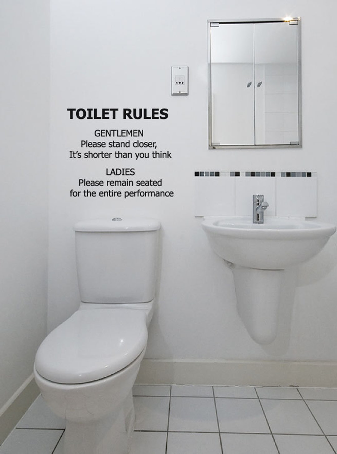Bathroom Wall Decal Toilet Rules Sticker Novelty Funny Gift Bar Night ...