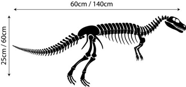 Dinosaur Skeleton Wall Decal Sticker Boys Bedroom Trex - Etsy