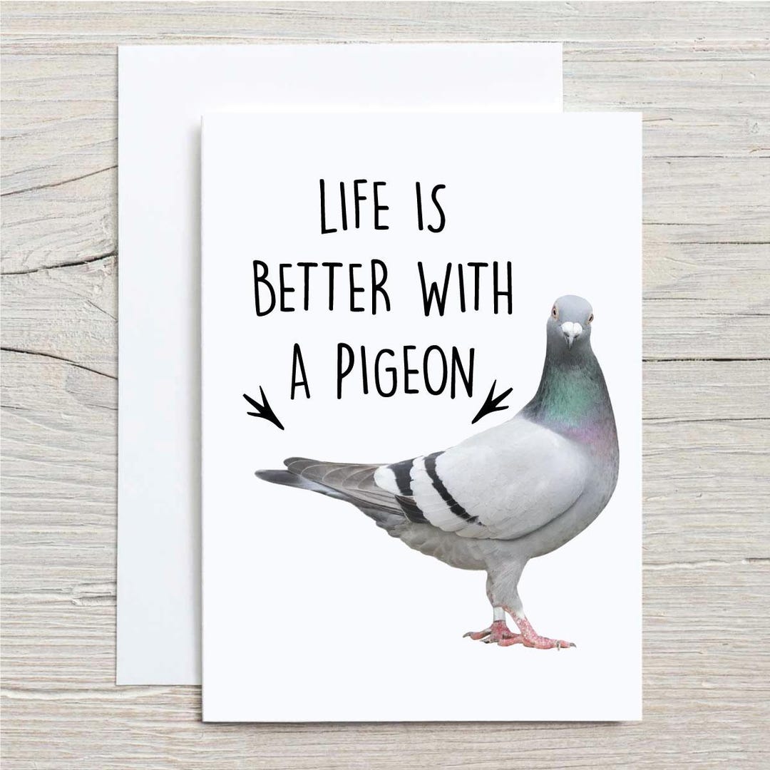 Pigeon Card Life is Better With A Pigeon Greeting Cute Animal Card for ...
