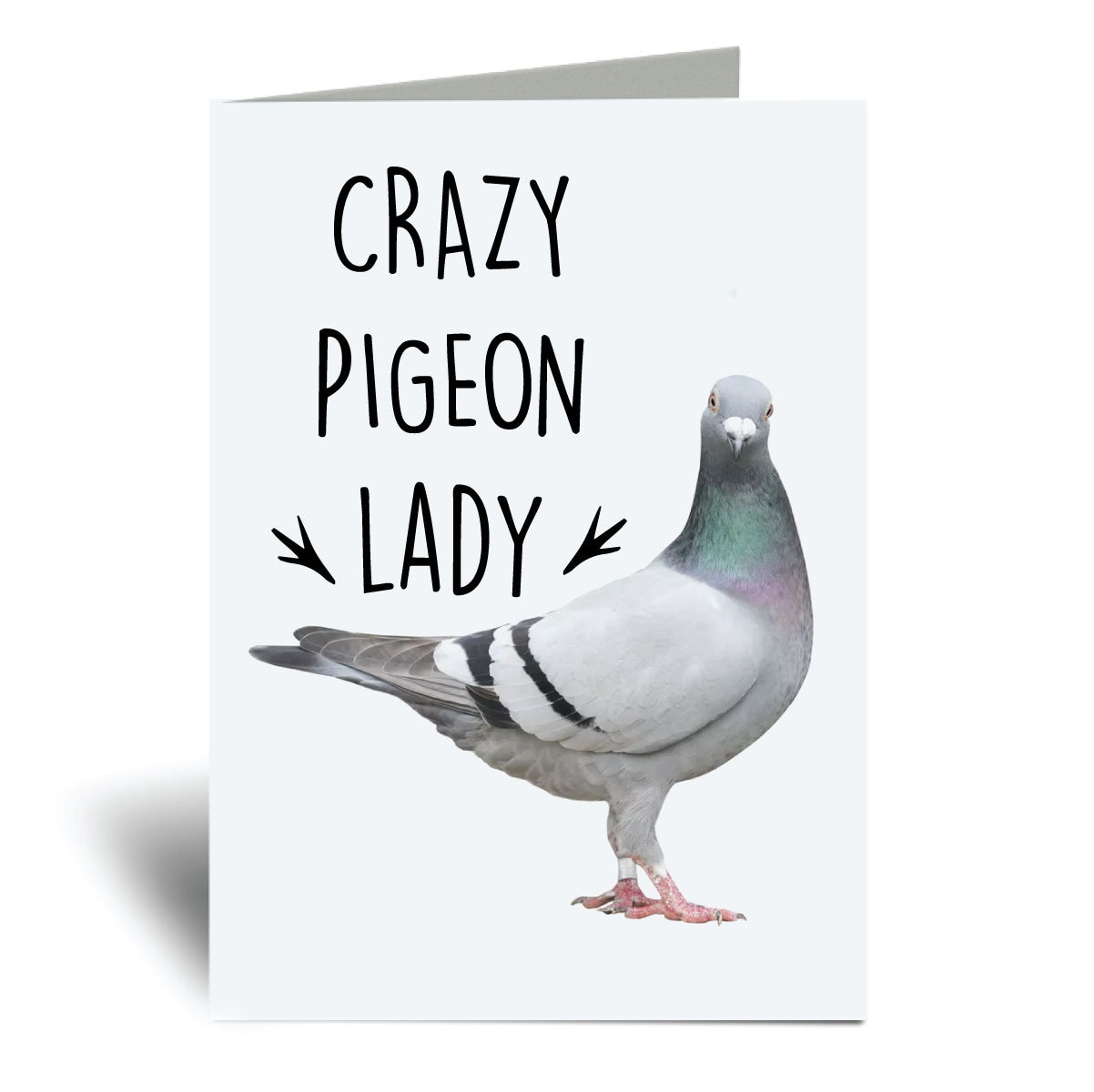 Pigeon Card Crazy Pigeon Lady Greeting Birthday Card Husband | Etsy