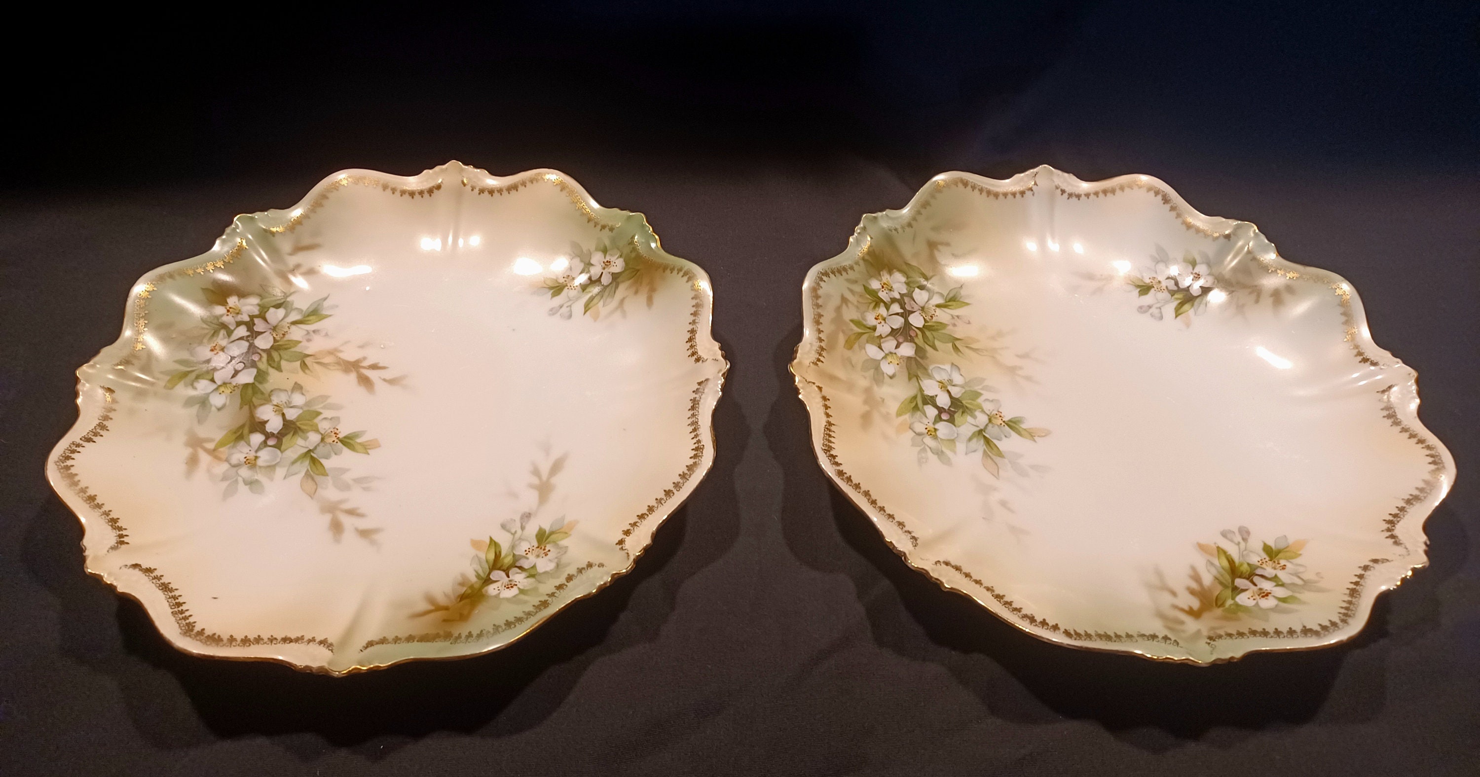 TWO R.S PRUSSIA Plates Reinhold Schlegelmilch Plates Circa Late 1800's ...