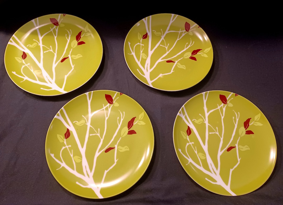 Rachael Ray Set of 4 Seasons Changing Plates | 8" Rachael Ray Seasons ...