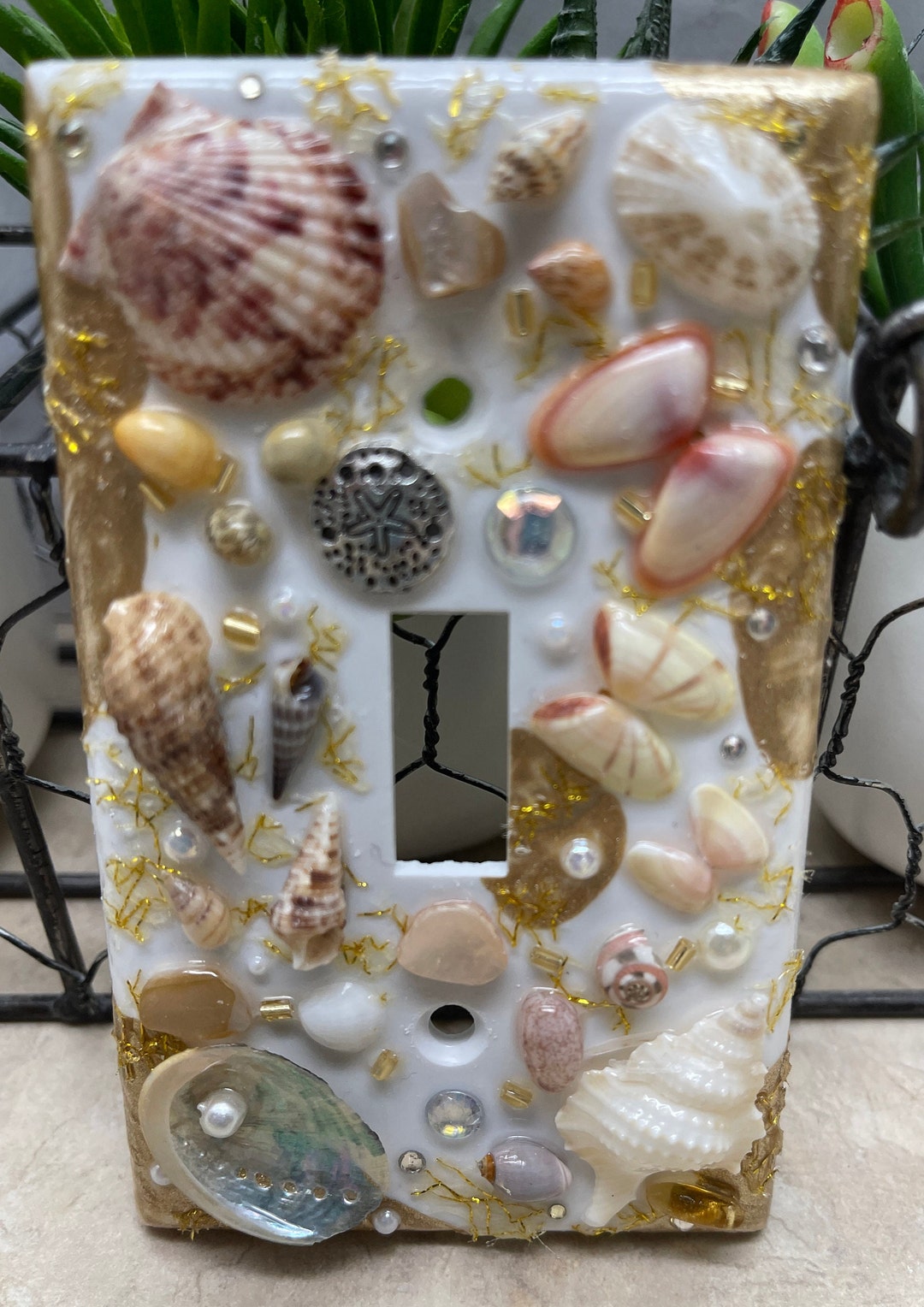 Seashell Switch Plate Cover Real Seashells - One Toggle - Etsy