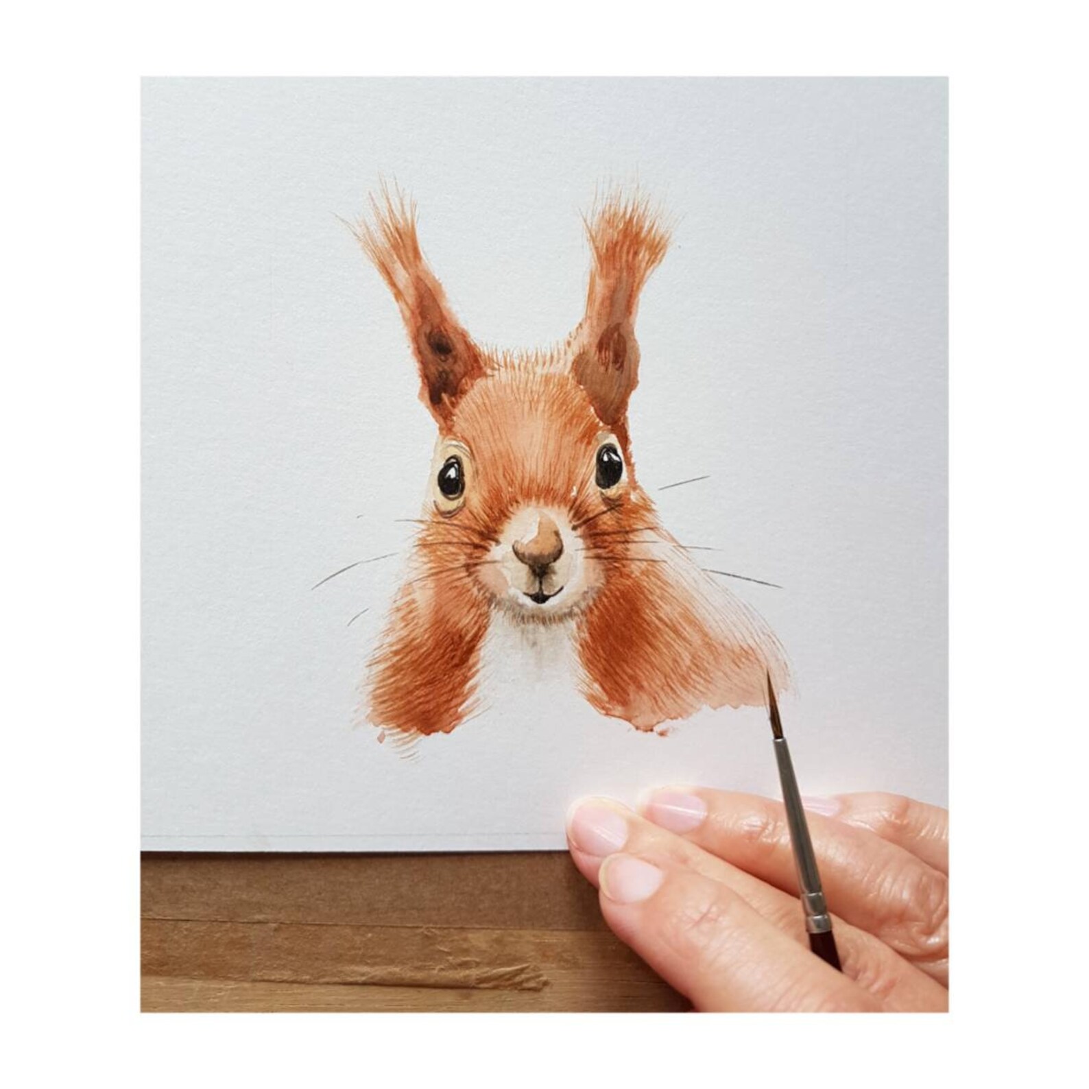 Red Squirrel Print Realistic Squirrel Gift Watercolour | Etsy