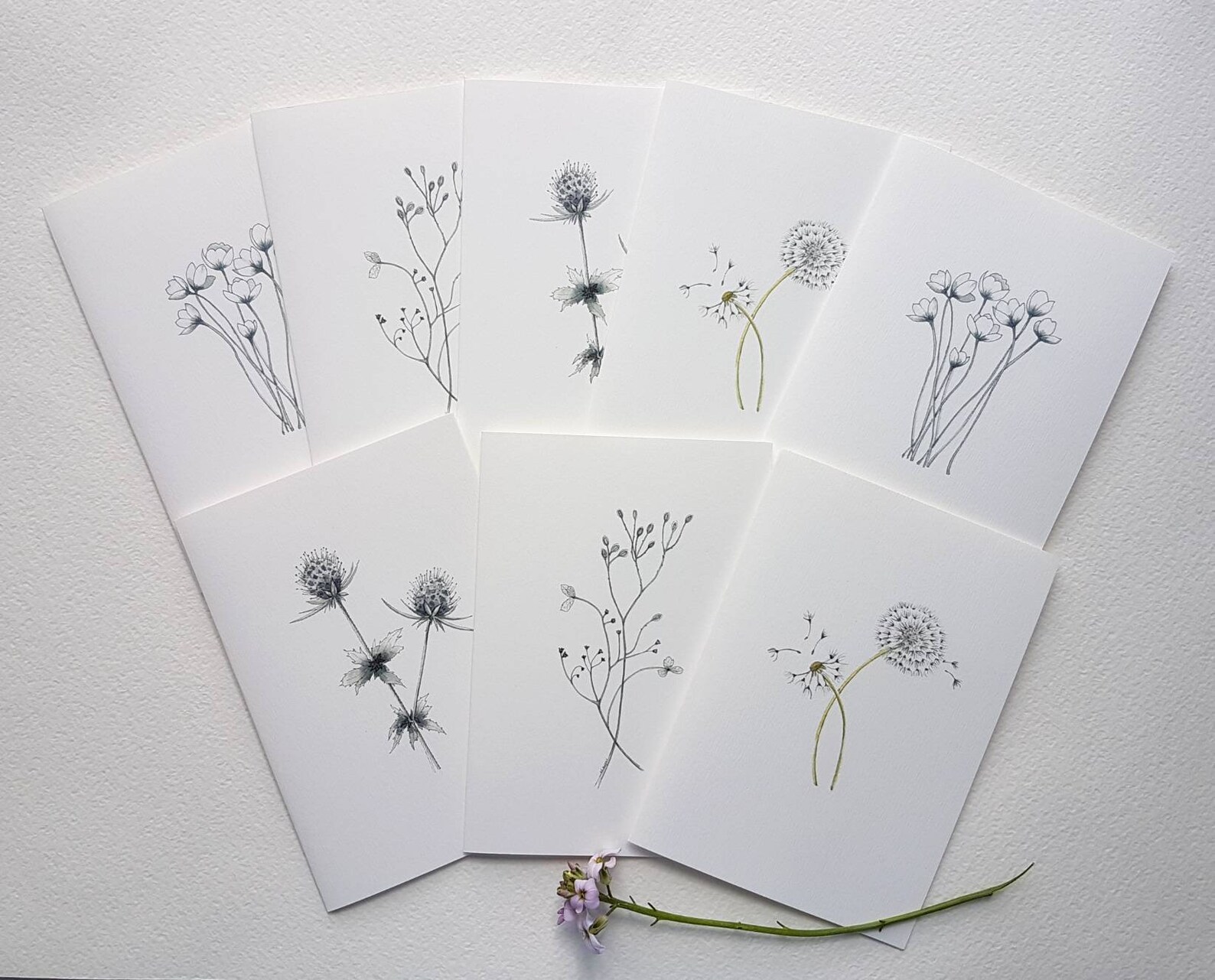 Blank Notelets With Envelopes Pretty Floral Note Cards for - Etsy UK