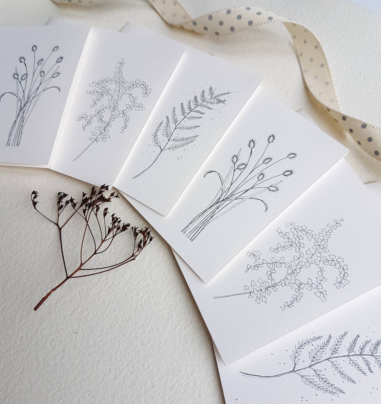 Pretty blank note cards set of little line dawn designs | Etsy