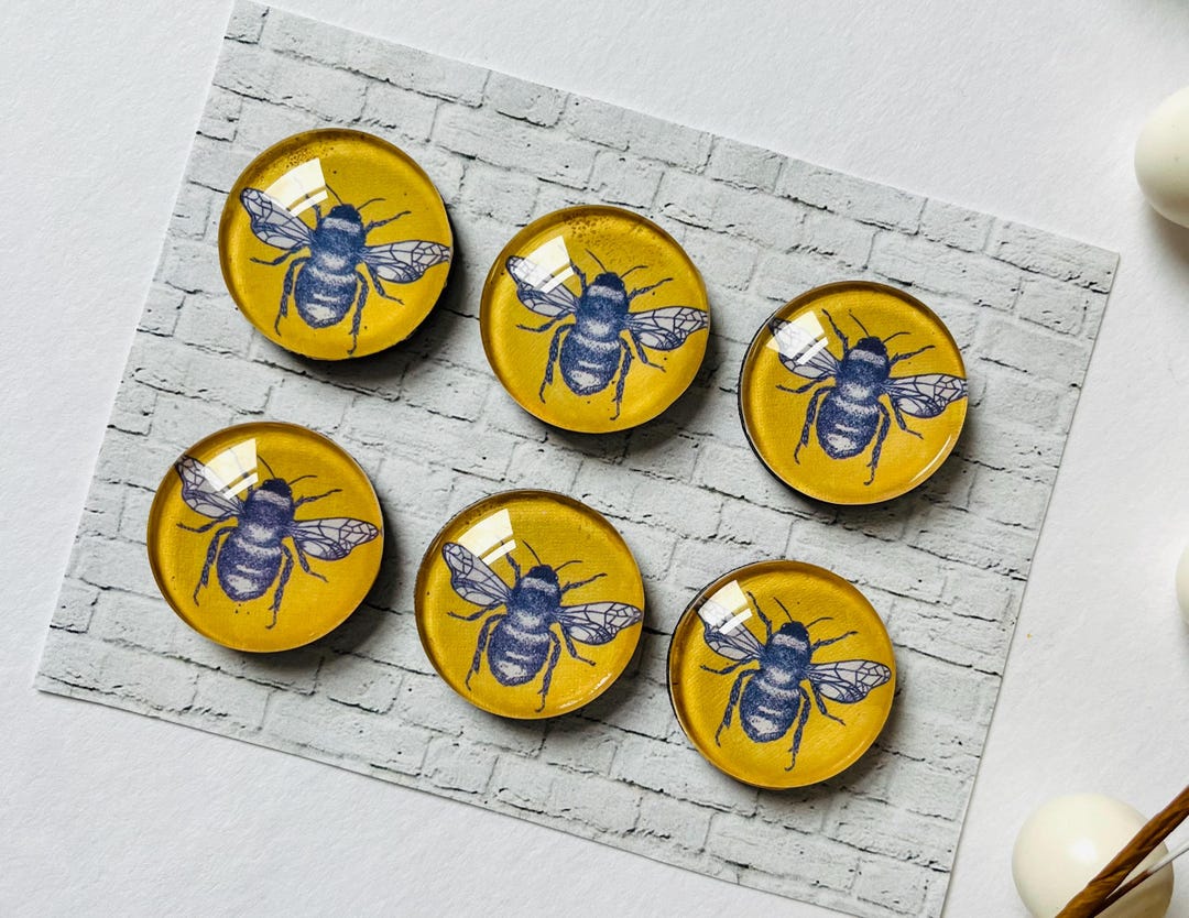 Bee Glass Magnets, Magnets, Refrigerator Magnets, Office Supplies ...