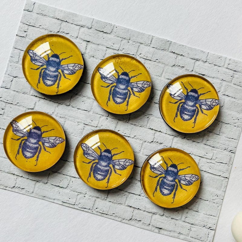 Decorative Magnets - Etsy