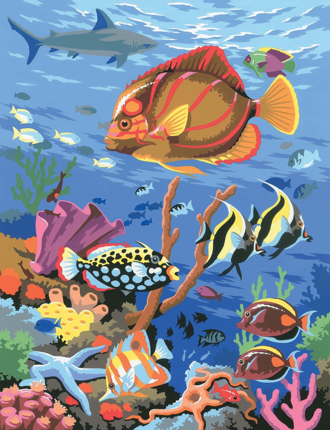 Paint by Numbers Kit CORAL SEA Painting Kit, Acrylic, Paint by Number ...