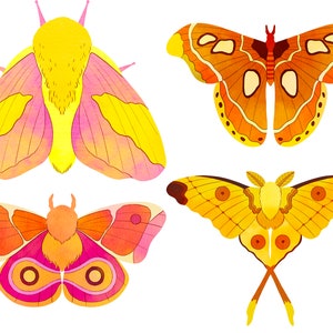 Butterfly Clipart, Butterflies Clipart, Moth Clipart, Moths Clipart ...