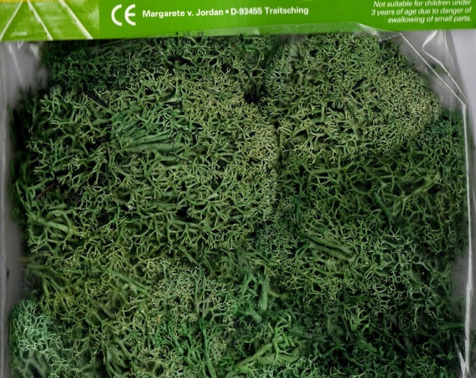Green Model Moss Lichen Scenery for MODEL RAIL H0, N, Z Scale Model ...