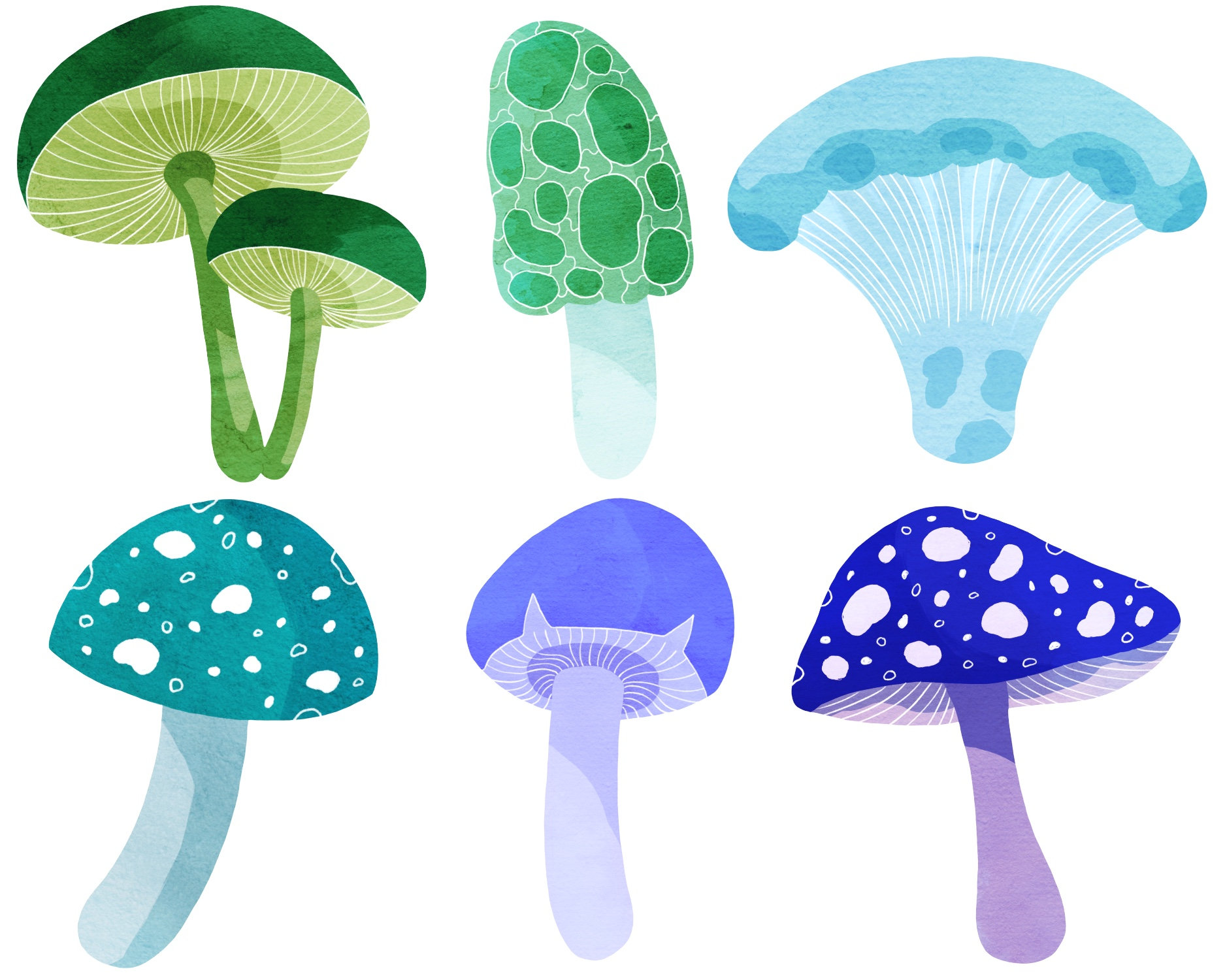 Mushroom Clipart Mushrooms Clipart Clipart Pack Clipart - Etsy UK
