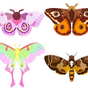 Butterfly Clipart, Butterflies Clipart, Moth Clipart, Moths Clipart ...