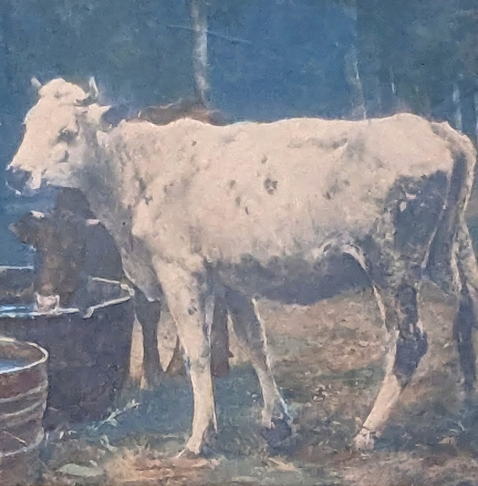 Antique Shadow Box Picture Frame Hand Colored Photo of Woman - Etsy