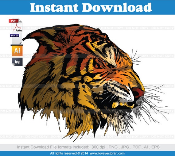 Free Tiger Clipart