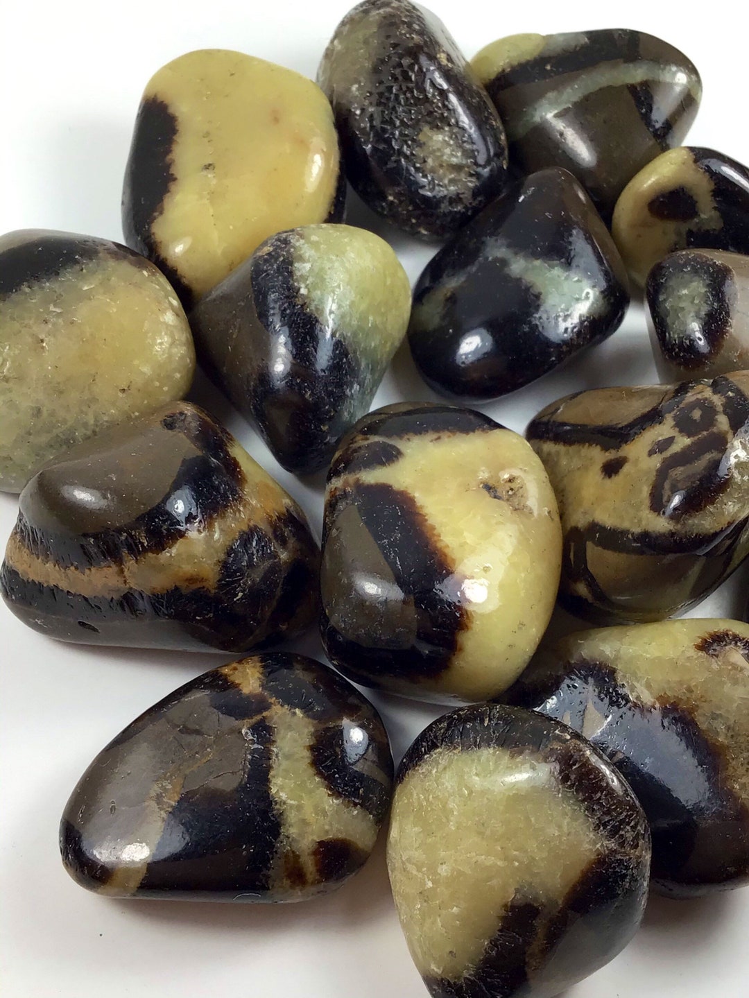 Septarian Crystal Tumbles Nodules, Dragon Palm Stone, Healing Crystal ...