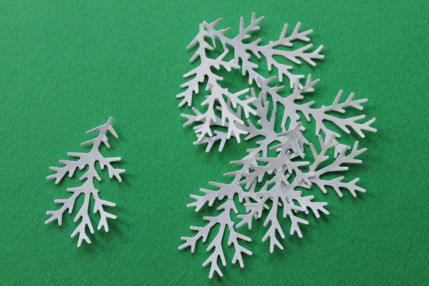 Cedar Branches Set of 50 100 or 200 - Etsy