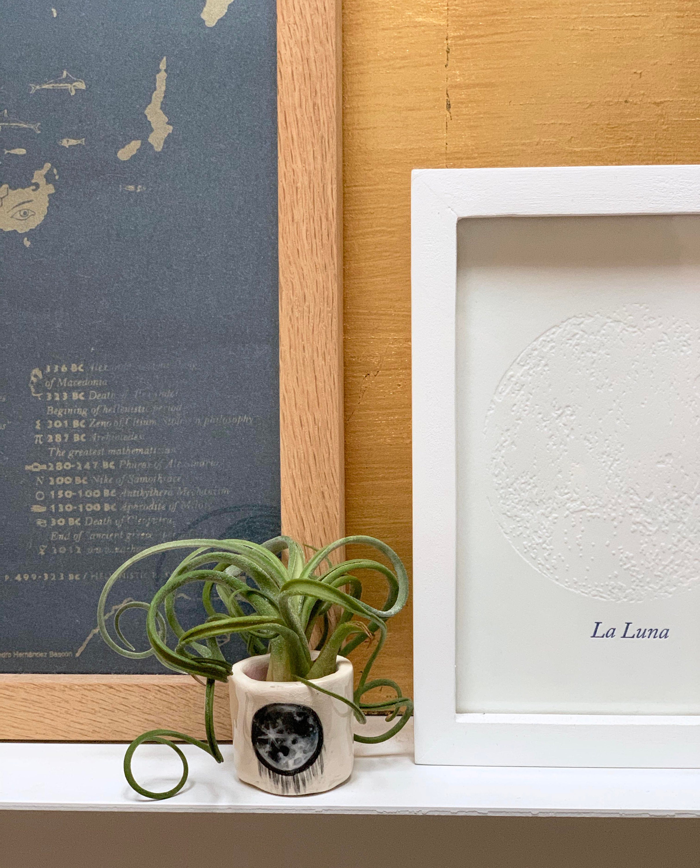 Eclipse Planter - Etsy