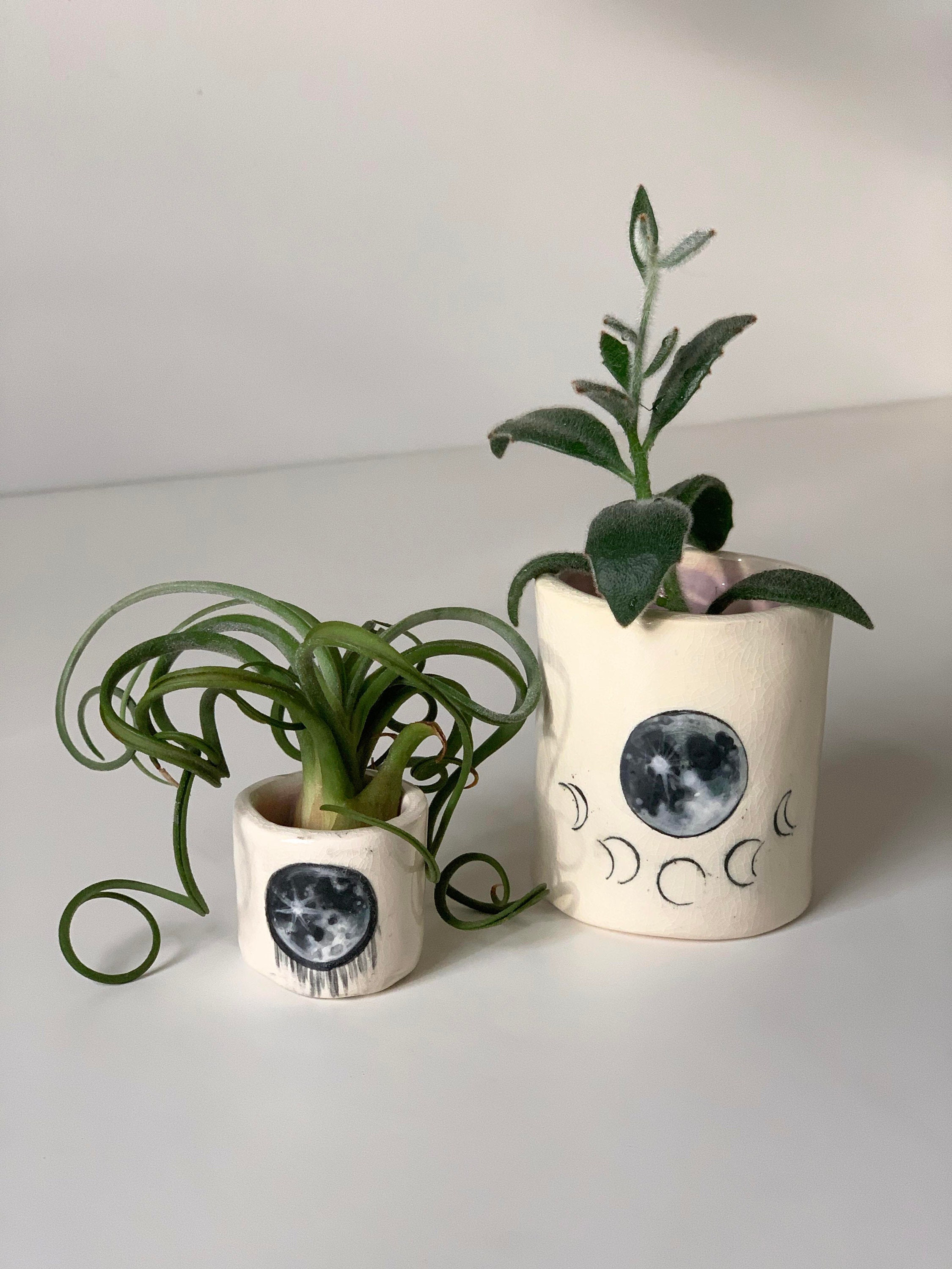 Eclipse Planter - Etsy