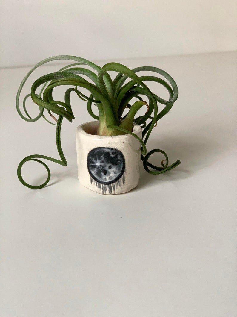 Eclipse Planter - Etsy