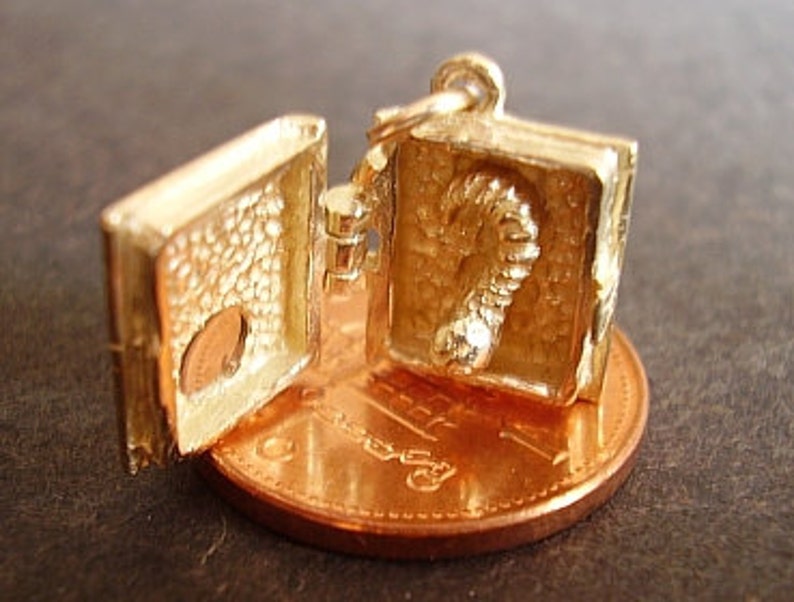 9ct 9k Gold Bookworm Charm | Etsy