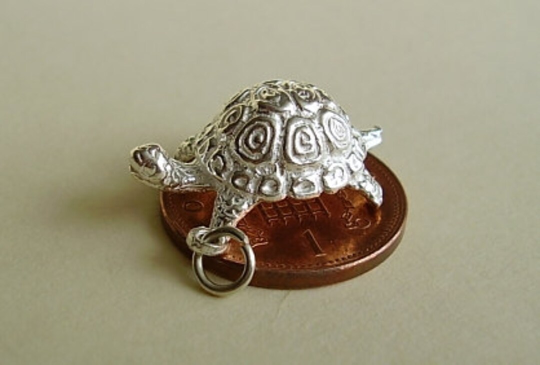 Sterling Silver Tortoise Charm - Etsy
