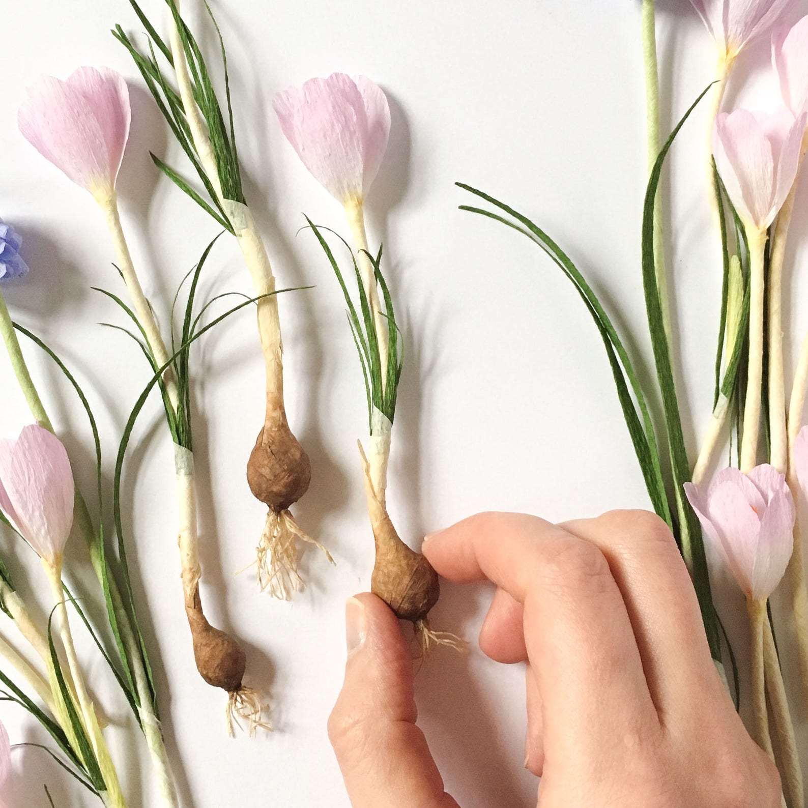 Paper Flower Class Pdf/video Crocus Flower & Spring Bulb - Etsy