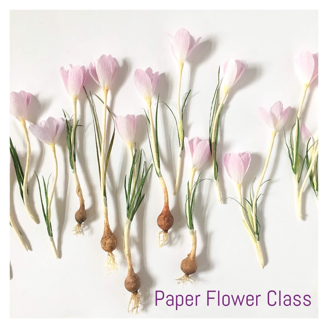 Paper Flower Class- Pdf/video- Crocus Flower & Spring Bulb- Paper ...