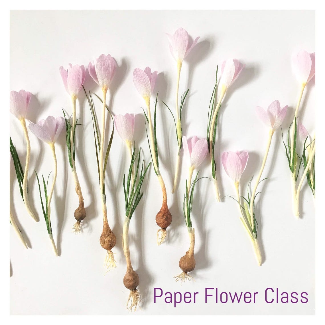 Paper Flower Class- Pdf/video- Crocus Flower & Spring Bulb- Paper ...