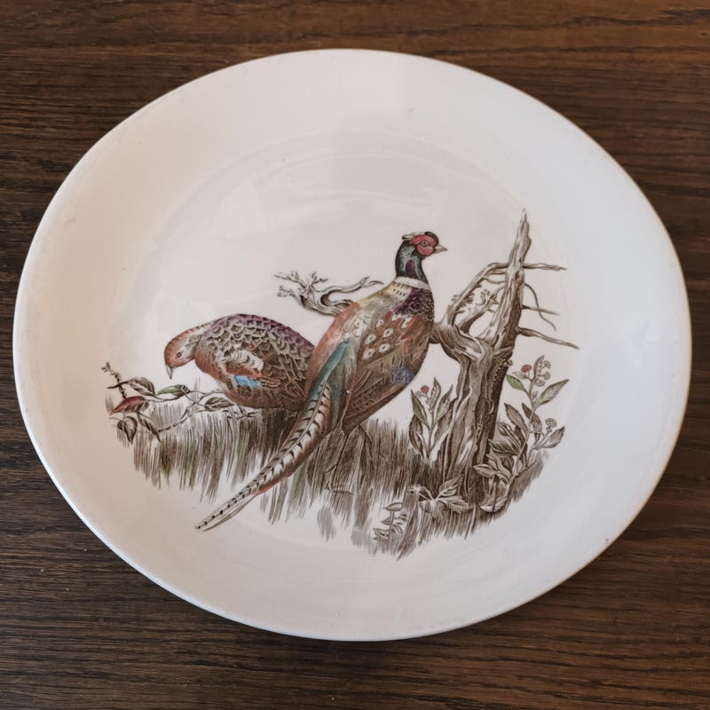 Vintage Game Bird Platter - Etsy