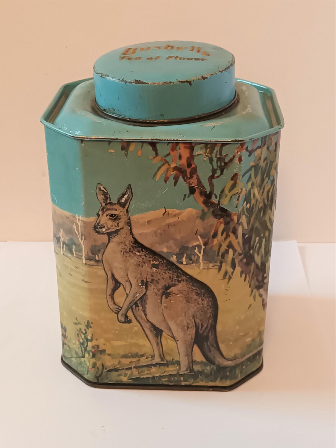 1930s-50s Bushell's Australia Tea Tin Canister Koala Kangaroo ...