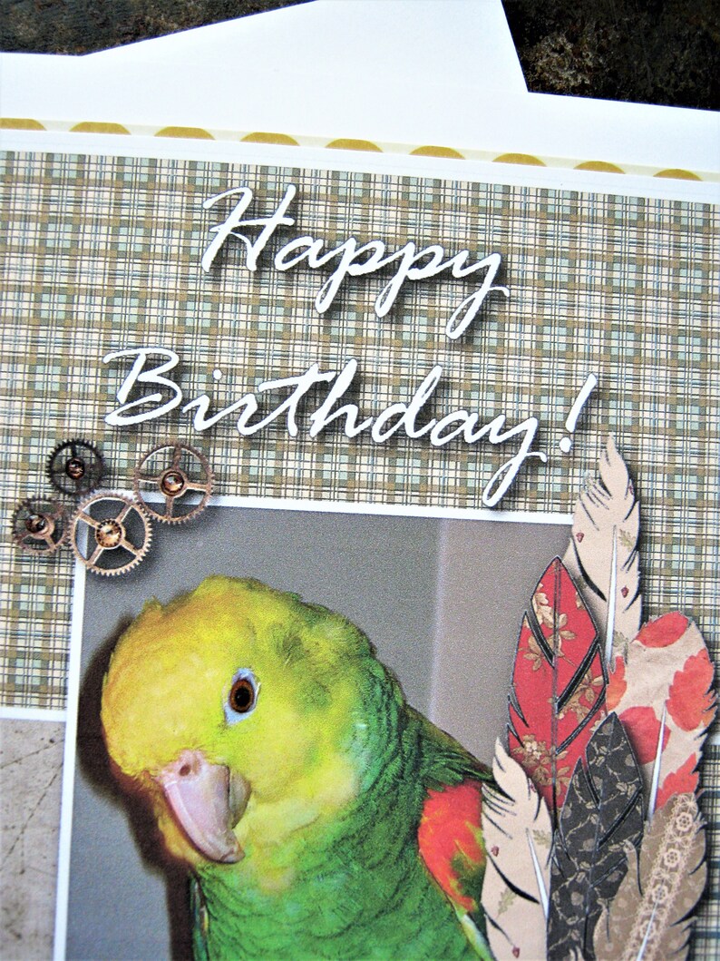 Happy Birthday Card Parrot Card Amazon Parrot Husband - Etsy