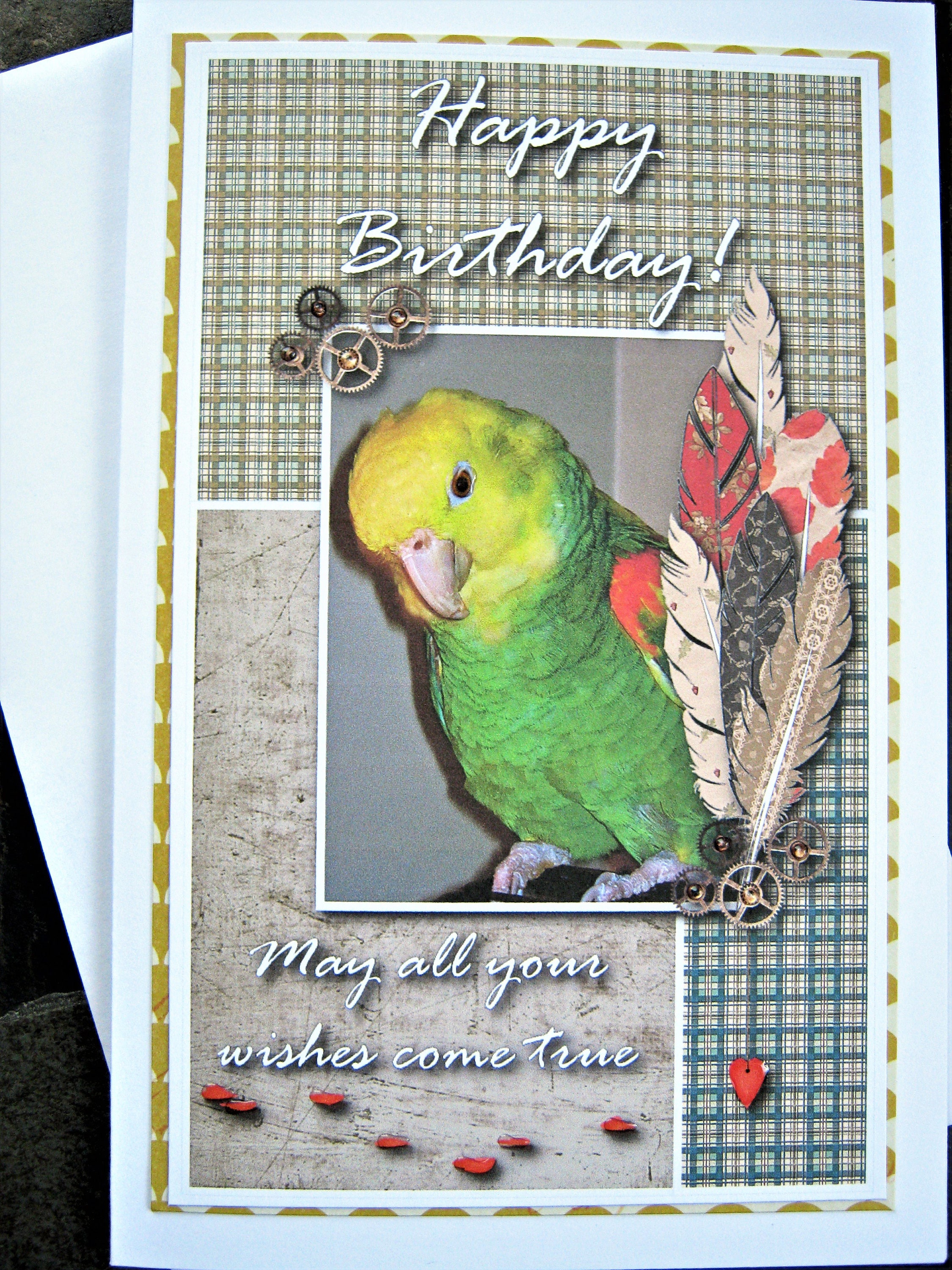 Happy Birthday Card Parrot Card Amazon Parrot Husband - Etsy