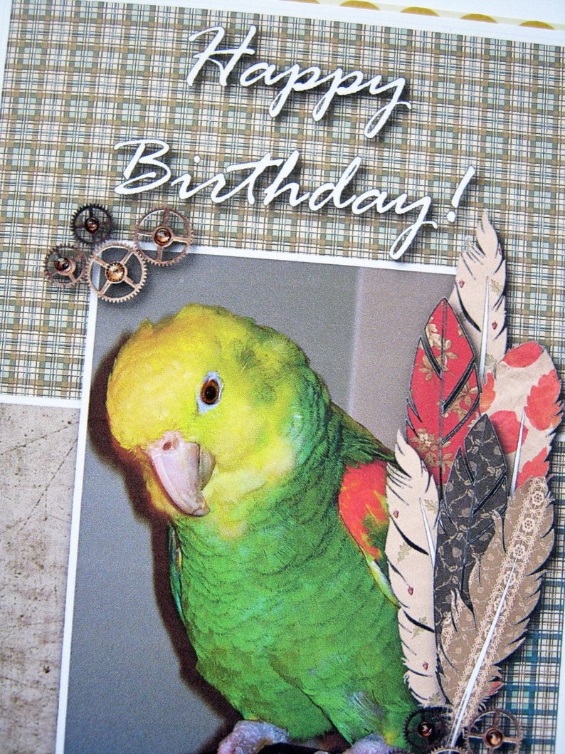 Happy Birthday Card Parrot Card Amazon Parrot Husband - Etsy
