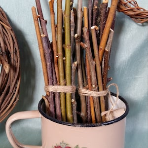 Craft Sticks Natural Northern Tree Wood Sticks Set Rustic Pimitive ...