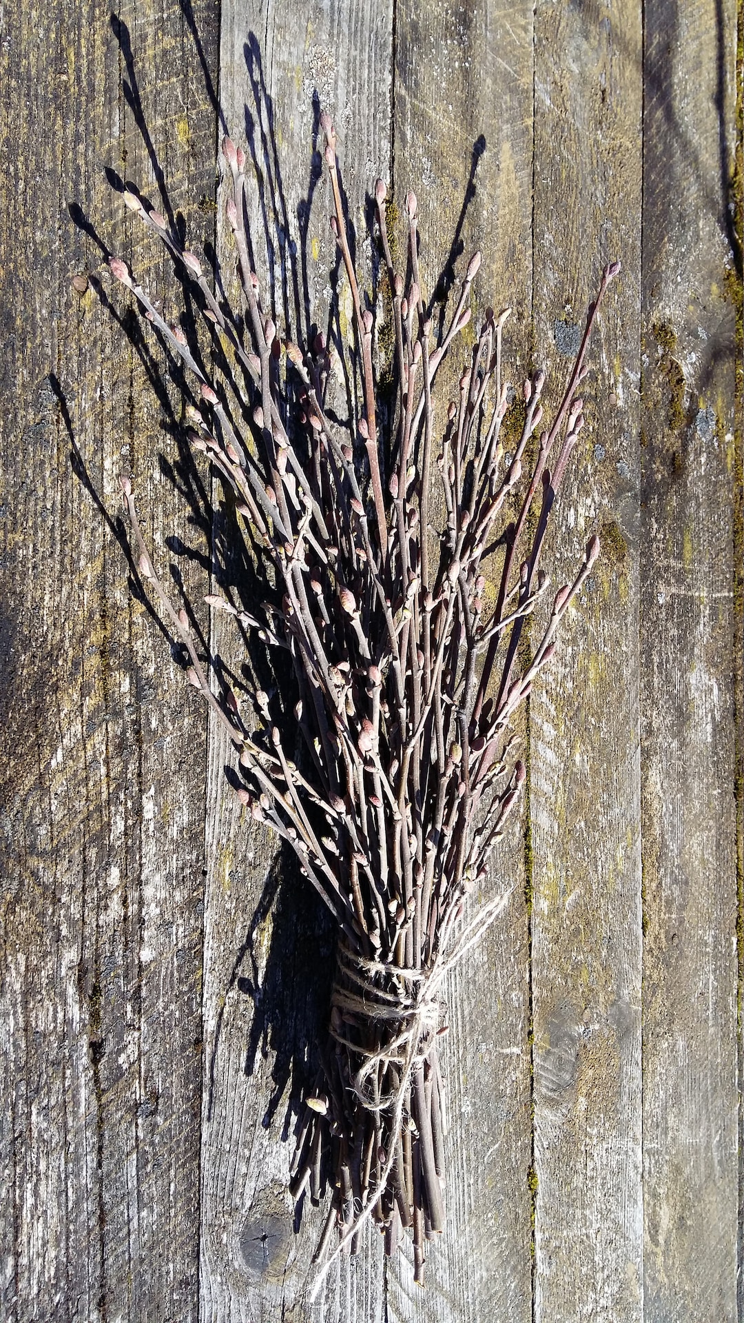 Tree Branches Bouquet Decor Natural Twig Springs Alder Wood Tree Bundle ...