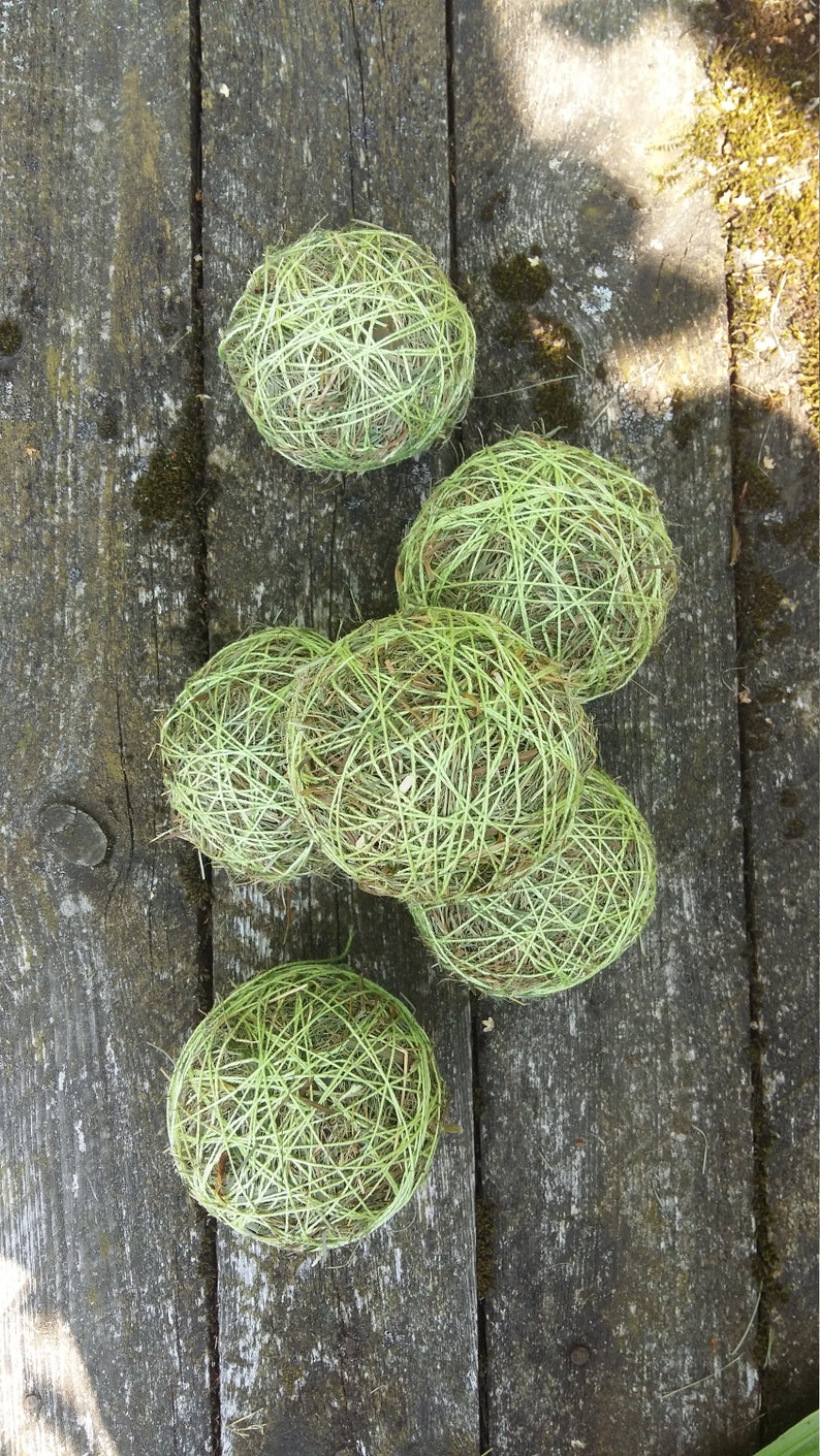 Dried Grass Balls Country Rustic Home Decor Primitive Natural | Etsy