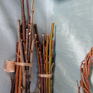 Craft Sticks Natural Northern Tree Wood Sticks Set Rustic Pimitive ...